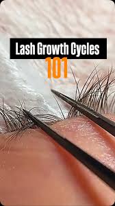 Understanding the Lash Growth Cycle: What Every Beauty Professional Sh ...